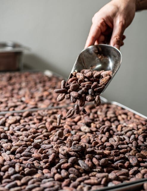 KAIACAO Bean to Bar and Design your own chocolate experience - Potential Drawbacks and Considerations