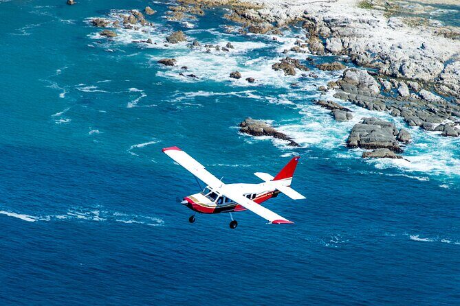 Kaikoura: Coastal and Alpine Scenic Airplane Flight - Practical Details and Logistics