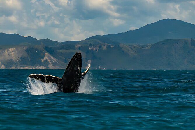 Kaikoura Day Tour From Christchurch - A Closer Look at the Christchurch to Kaikoura Day Tour