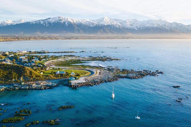 Kaikoura Day Tour From Christchurch - Breaking Down the Itinerary