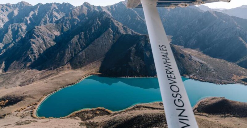 Kaikoura: Extended Flight Whale Watching & Mountain Tour - The Sum Up