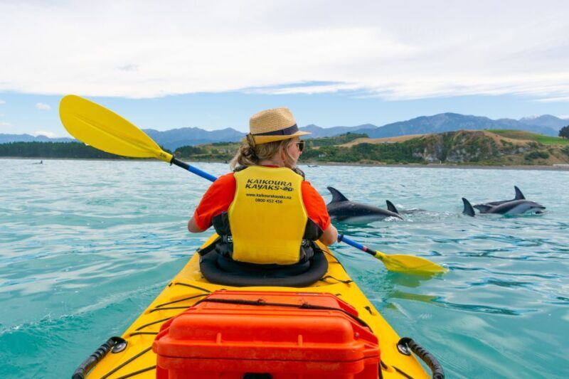 Kaikoura: Half-Day Wildlife Kayaking Tour - The Guides and Group Dynamics