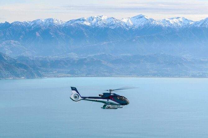 Kaikoura Helicopters Top n Tail Whale Watch flight - Who Should Consider This Tour?