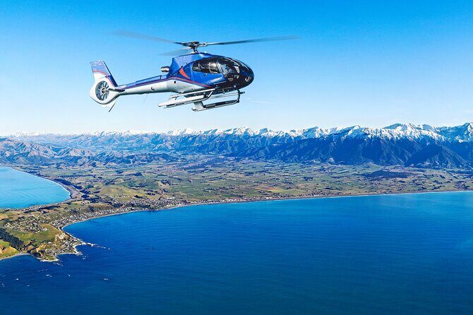 Kaikoura Helicopters Top n Tail Whale Watch flight - Summary: Who is This Tour Best For?
