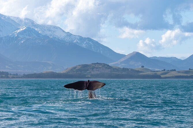 Kaikoura Kayaking Adventure Small Group Tour from Christchurch - FAQ