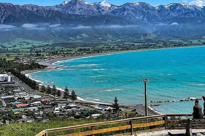 Kaikoura Private Whale Watching Day Trip from Christchurch - An In-Depth Look at the Kaikoura Private Whale Watching Day Trip