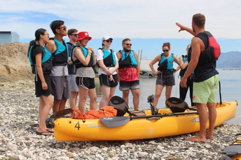 Kaikoura: Seal-Watching Pedal Kayak Tour - Value and Booking Considerations