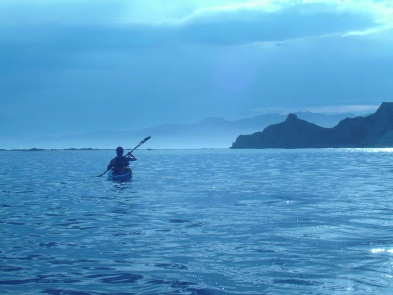 Kaikoura: Sunset Evening Kayaking Tour - An Authentic Marine Experience in Kaikoura