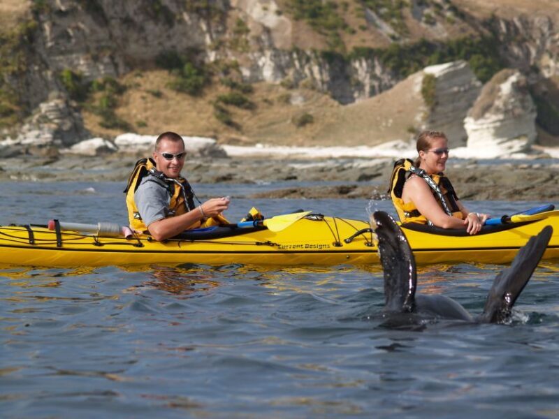 Kaikoura: Sunset Evening Kayaking Tour - Who Should Consider This Tour?