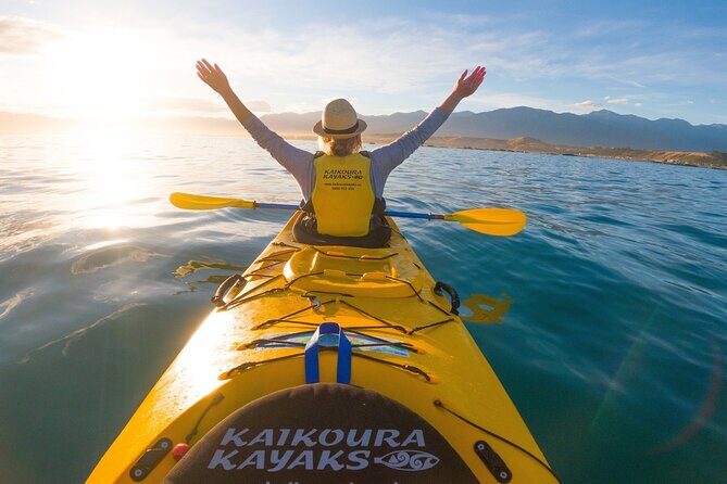 Kaikoura Whale Watching - 45 Minute Ocean Safari - Frequently Asked Questions