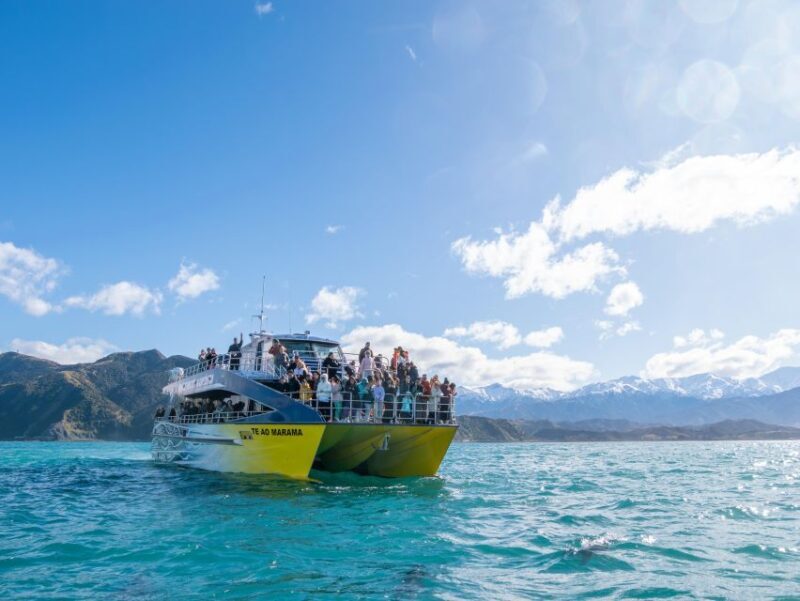 Kaikoura: Whale Watching Cruise - The Value of This Cruise