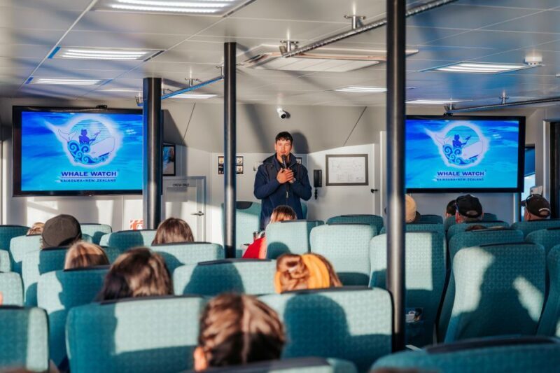 Kaikoura: Whale Watching Cruise - The Bottom Line: Who Should Consider This Experience?