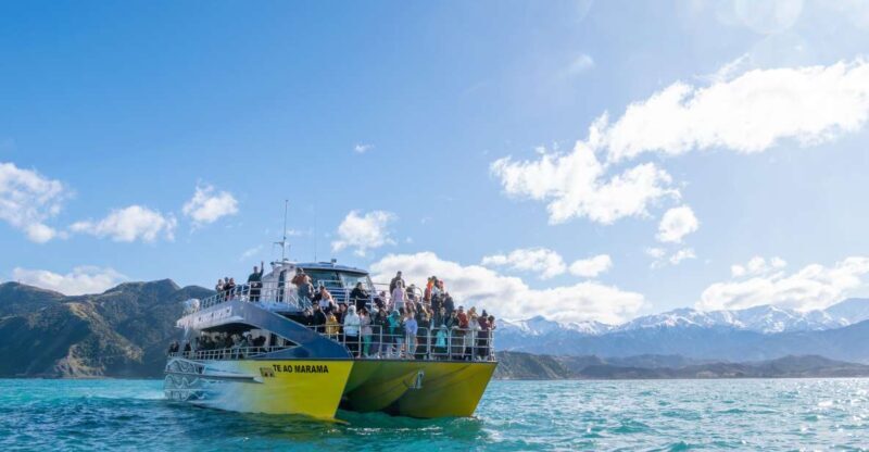 Kaikoura: Whale Watching Cruise - FAQs