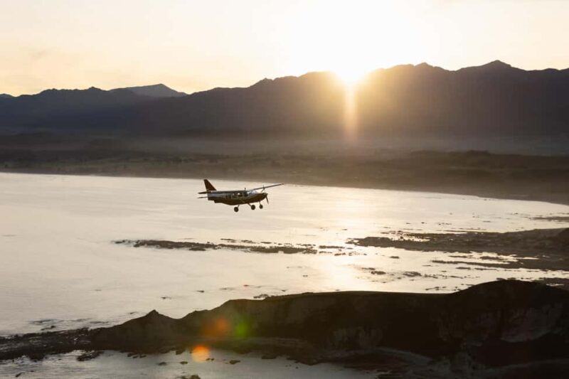 Kaikoura: Whale Watching Flight with Commentary - Introduction to the Experience