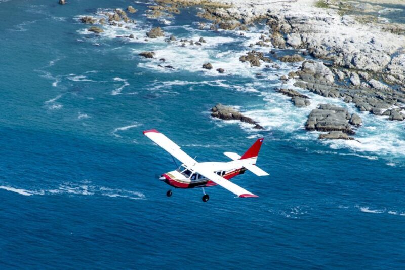 Kaikoura: Whale Watching Flight with Commentary - The Sum Up: Who Should Consider This Tour?