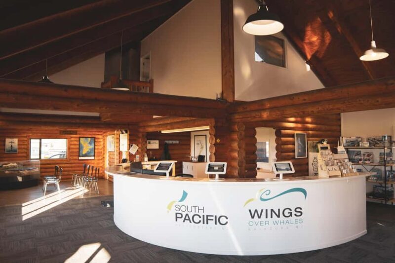 Kaikoura: Whale Watching Flight with Guided Commentary - The Cost & Overall Value