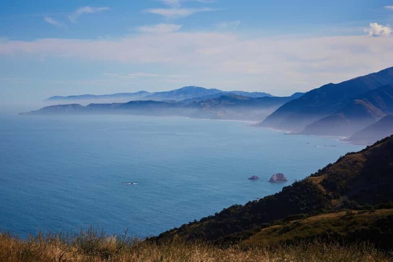 Kaikura: 45-Minute Whale Watching Helicopter Tour - To sum it up