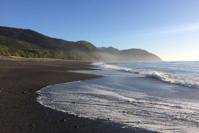 Kaikura Day Tour From Christchurch (Small Group, Carbon Neutral) - Who Will Love This Tour?