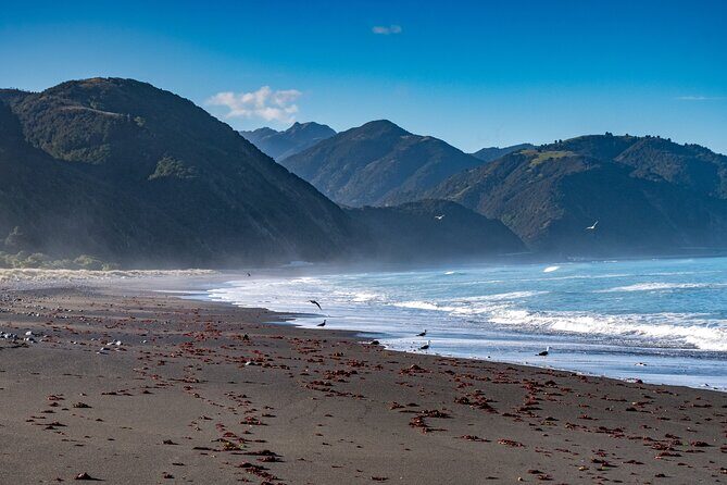 Kaikura Day Tour From Christchurch With Dolphin Encounter - Who Will Love This Tour?