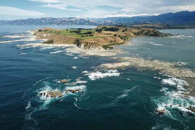 Kaikura Day Tour From Christchurch With Whale Watch - Kaikoura: The Day’s Main Event