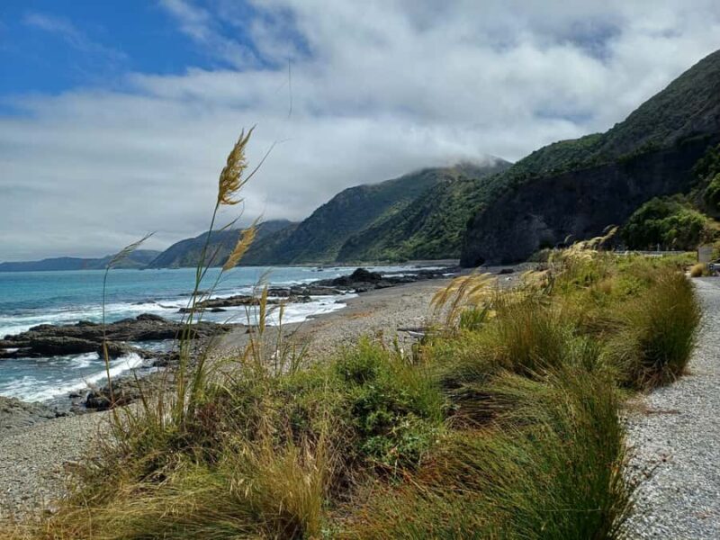 Kaikura: Small Group Tour- optional Whale, Dolphin, Zipline - Key Points