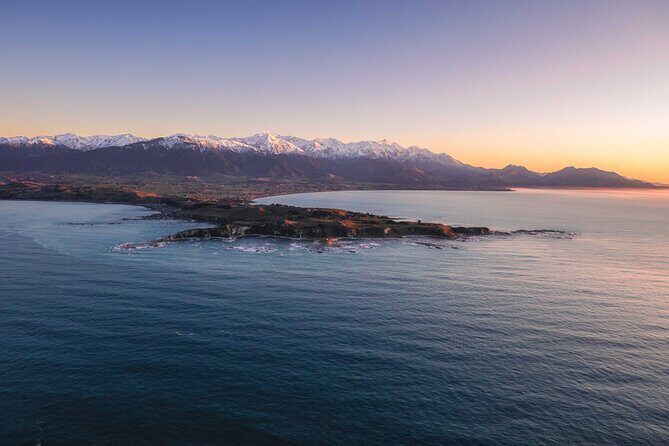 Kaikura Whale Watching - 1hr 20min Ultimate Adventure - What the Reviews Say