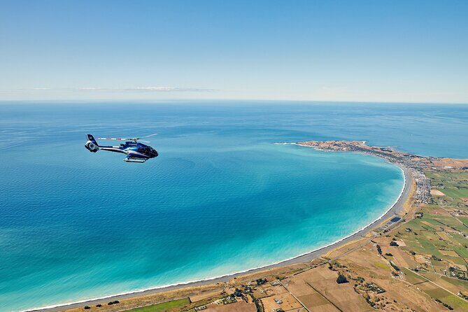 Kaikura Whale Watching and Scenic Landing - 1hr Premier Tour - What Travelers Say