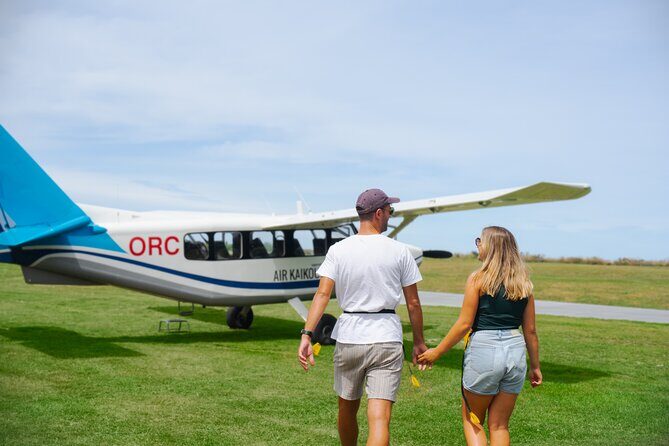 Kaikura Whale Watching Scenic Flight (40 Minutes) - What the Reviews Tell Us