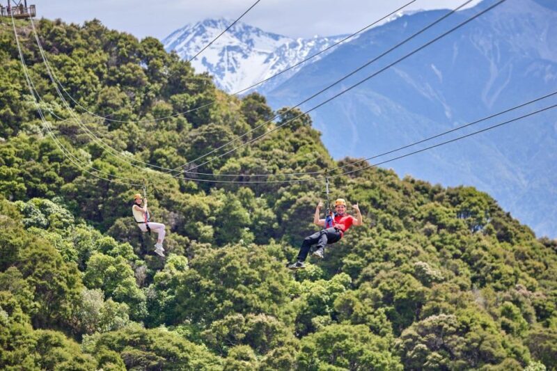 Kaikura: Zipline and Native Forest Adventure Trip - Key Points