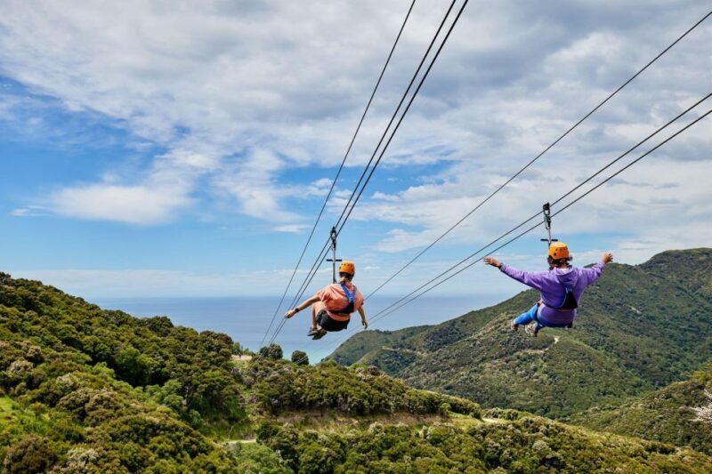 Kaikura: Zipline and Native Forest Adventure Trip - Transportation & Logistics