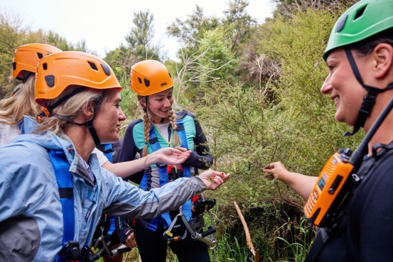 Kaikura: Zipline and Native Forest Adventure Trip - Safety and Accessibility
