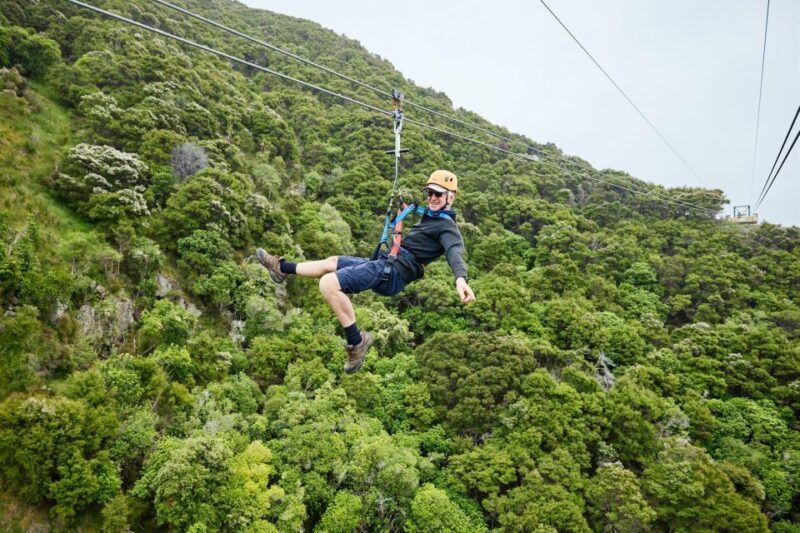 Kaikura: Zipline and Native Forest Adventure Trip - Authenticity and Education