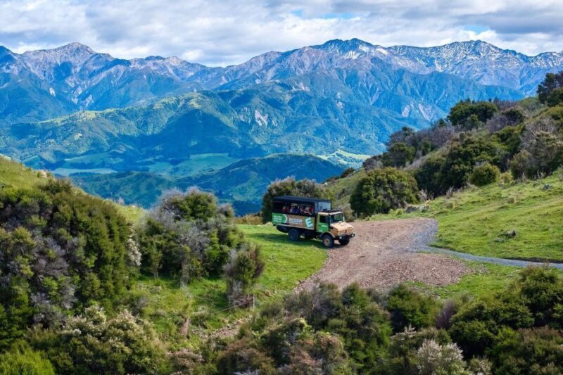 Kaikura: Zipline and Native Forest Adventure Trip - Final Thoughts