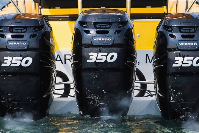 Kailua-Kona Adventure Whale Watch - Group Size and Atmosphere