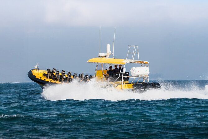 Kailua-Kona Adventure Whale Watch - Weather and Cancellation Policies