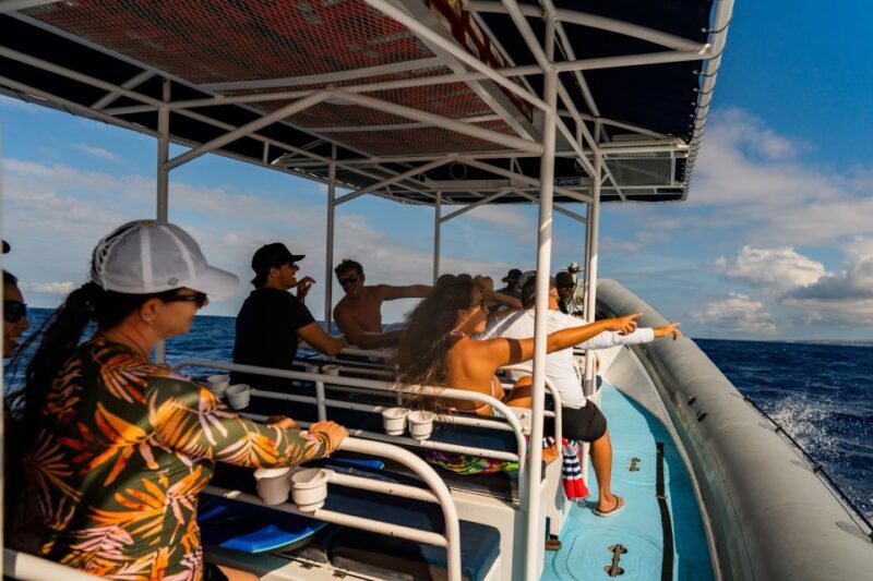 Kailua-Kona: Big Island Morning Snorkeling Tour with Lunch - Pricing and Value