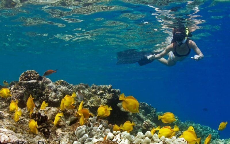 Kailua-Kona: Kealakekua Bay and Captain Cook Monument Tour - Final Thoughts