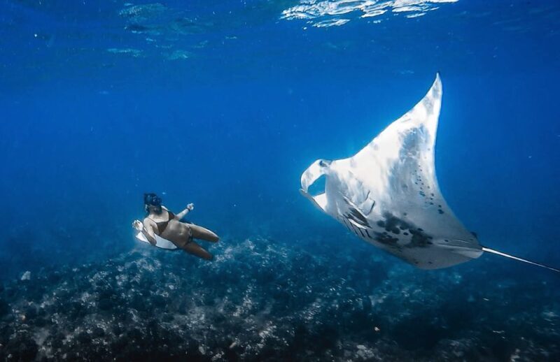 Kailua-Kona: Manta Ray Snorkeling with Hot Cocoa - Who is This Tour Best For?