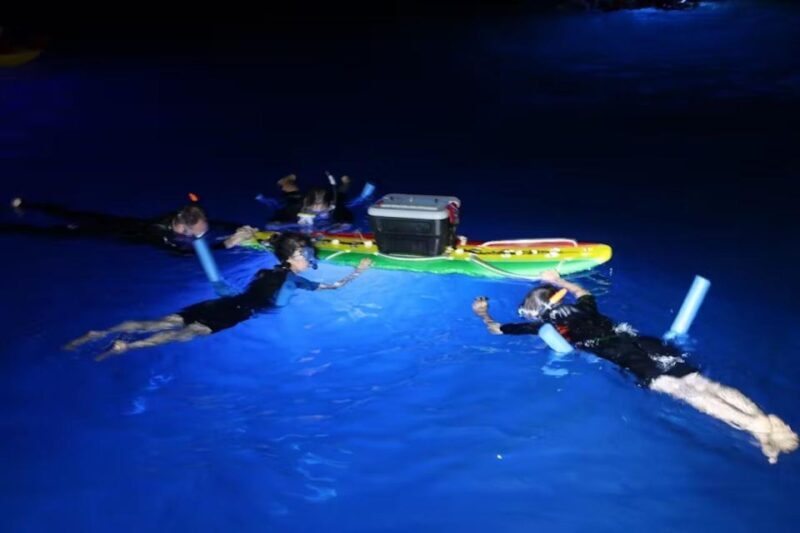 Kailua-Kona: Manta Ray Spotting Night Snorkeling Tour - An Overview of what to Expect