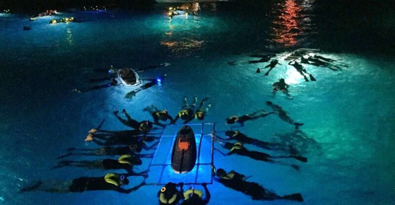 Kailua Kona: Night Manta Ray Adventure on the Big Island - Final Thoughts