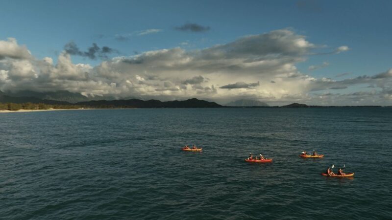 Kailua: Mokulua Islands Kayak Tour with Lunch - The Value Proposition