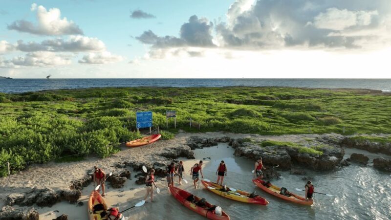 Kailua, Oahu: Popoia Island & Kailua Bay Guided Kayak Tour - Final Thoughts