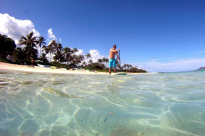 Kailua Stand Up Paddle Boarding Lesson - The Sum Up