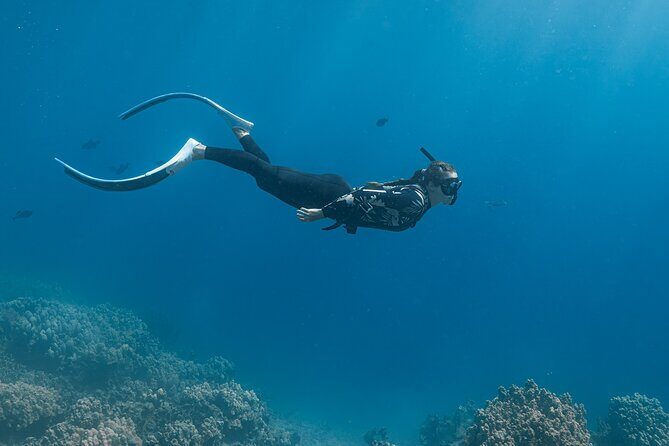 Kaimana Kealakekua Bay Captain Cook Adventure - Final Thoughts: Is This the Right Tour for You?