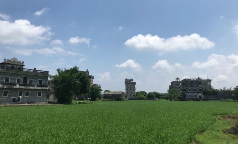 Kaiping Private Day Tour From Guangzhou - What We Love and What to Consider