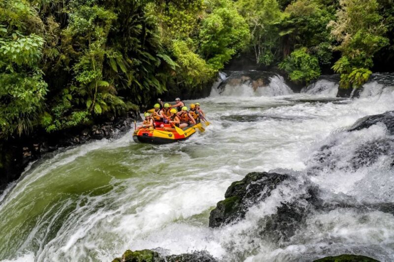 Kaituna River and Tutea Falls Whitewater Rafting - Common Praise from Reviewers