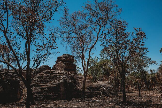 Kakadu Day Tour from Darwin with Offroad Dreaming - The Experience in Practice: What Travelers Say