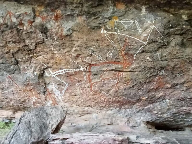 Kakadu Day Tour: Private, Yellow Water, Nourlangie, Ubirr - Exploring the Kakadu in Style: A Comprehensive Review of the Private Day Tour