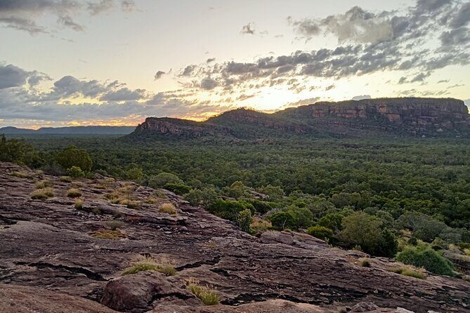 Kakadu Day Tour-Yellow Water-Nourlangie-Ubirr-Cahills-Fogg Dam - The Itinerary in Detail: What to Expect