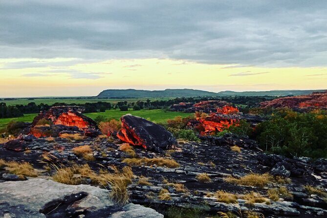 Kakadu Day Tour-Yellow Water-Nourlangie-Ubirr-Cahills-Fogg Dam - Authentic Experiences Highlighted by Reviews